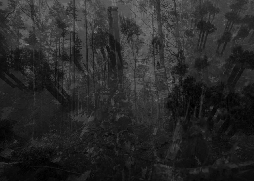 How Greenpeace Used Minecraft to Stop Illegal Logging in Europe's Last ...